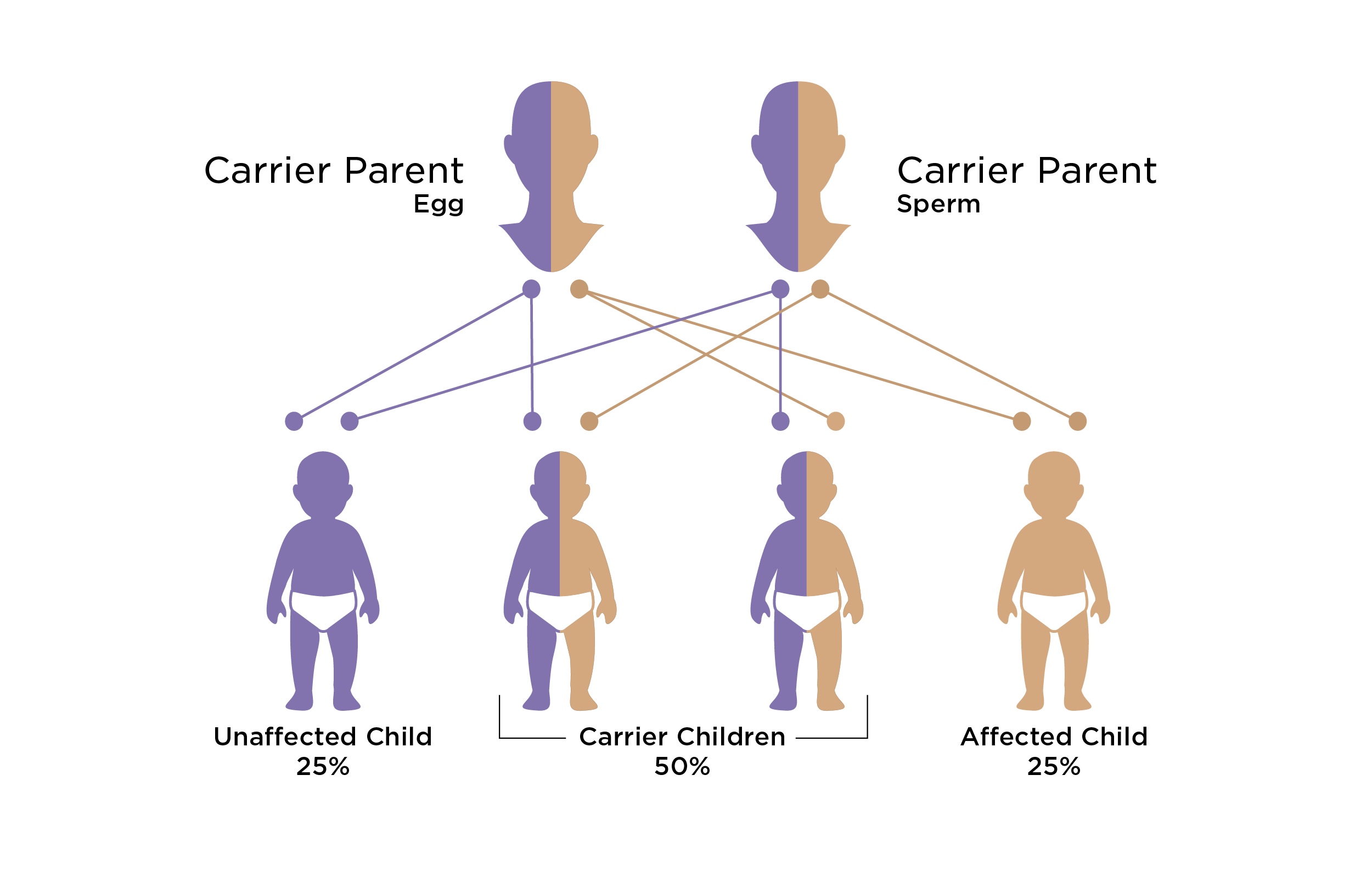 Genetic Carrier Screening | My Doctor Online